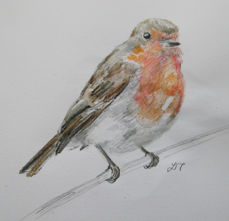 british robin | agnesandcora