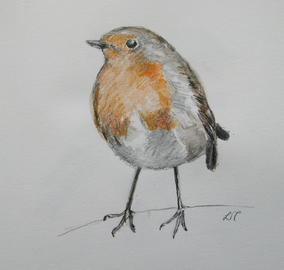 british robin | agnesandcora