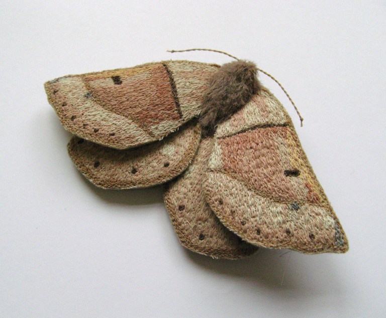 Moths. | agnesandcora