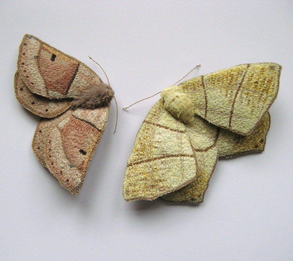 moth brooch | agnesandcora